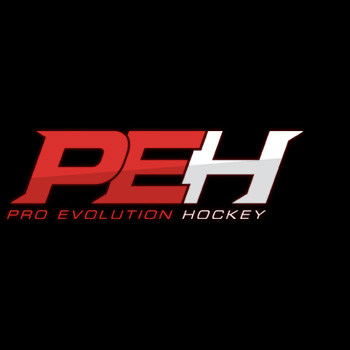 Pro Evolution Hockey